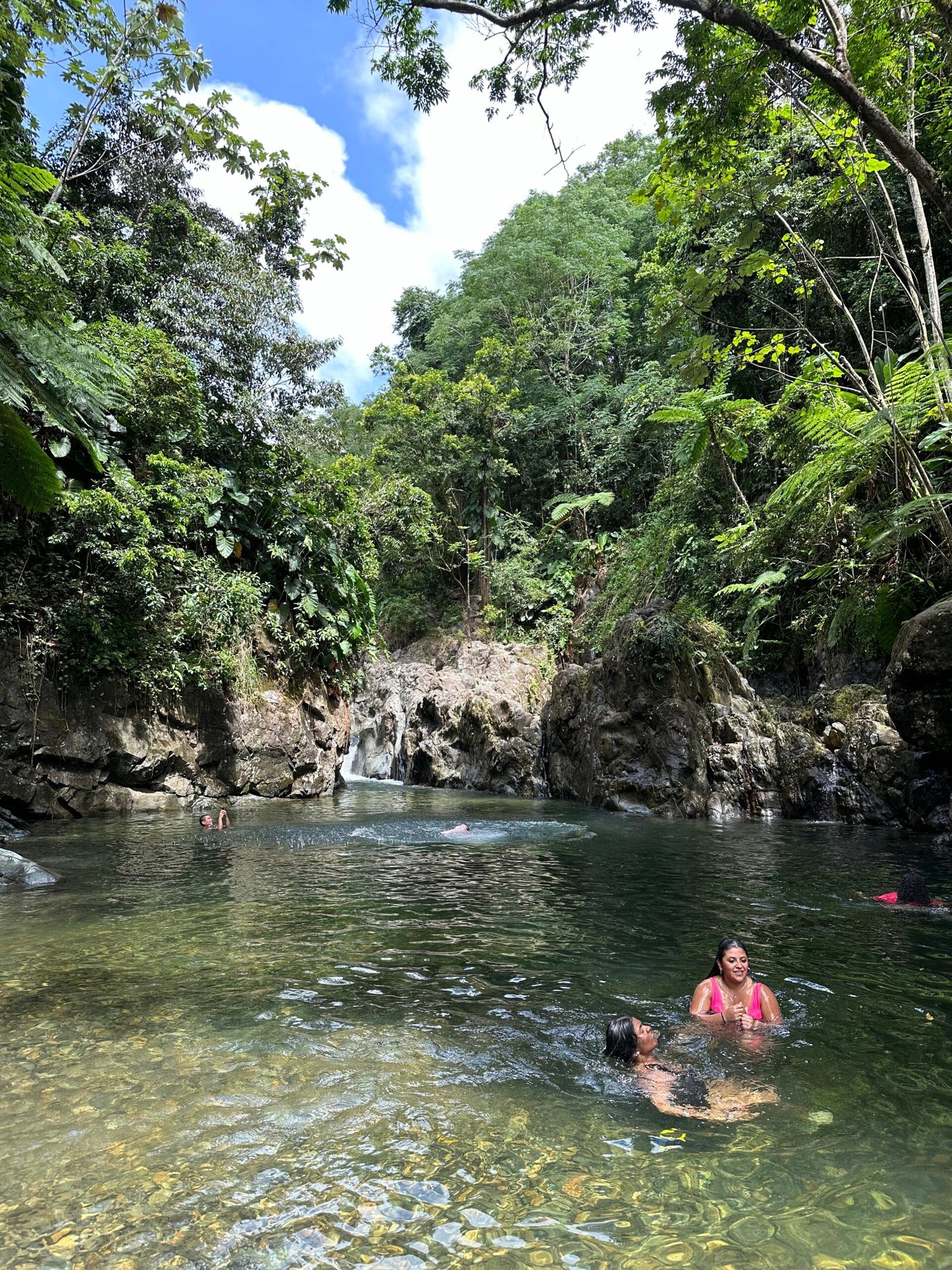 Exploring El Yunque Rainforest: An Unforgettable Adventure with ...