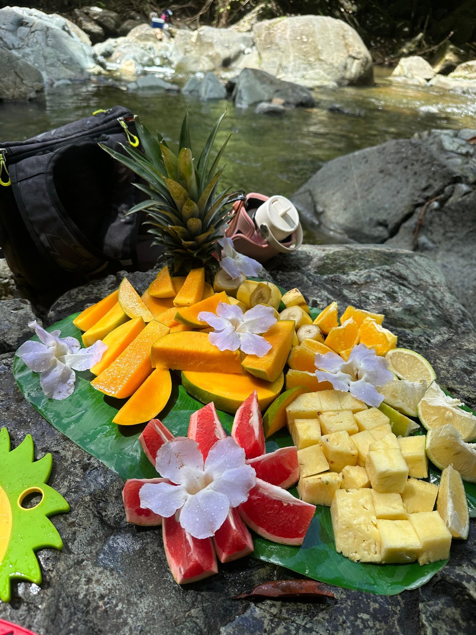 Exploring El Yunque Rainforest: An Unforgettable Adventure with ...